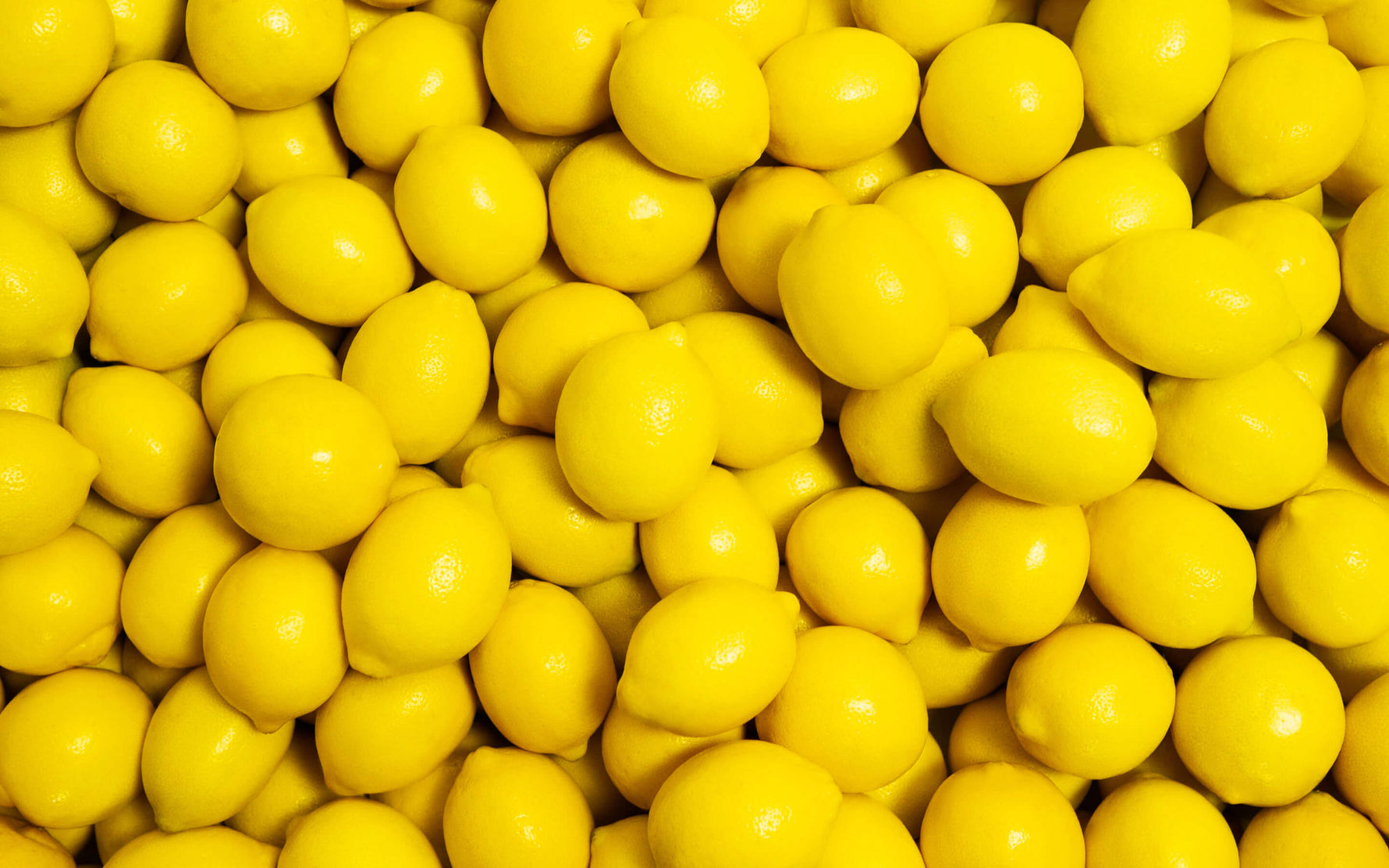 Lemon Perfect – lemon-perfect-wholesale